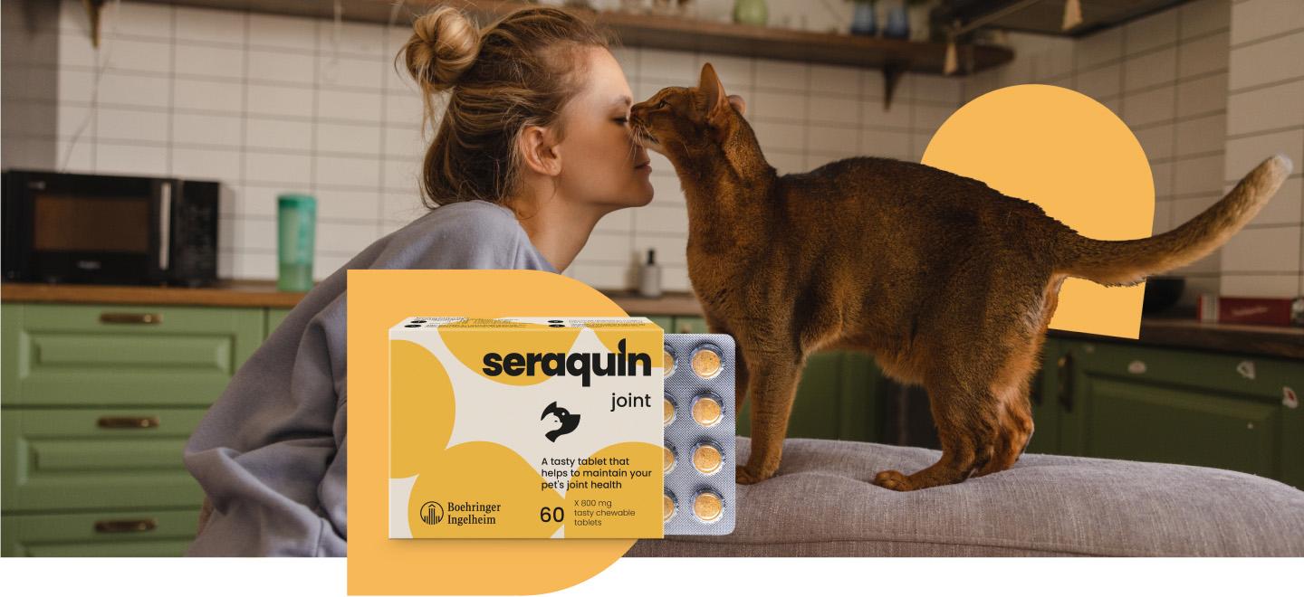 Joint | Seraquin