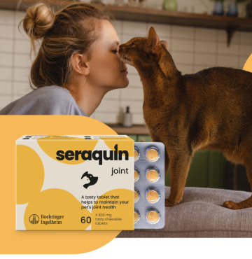 Joint | Seraquin