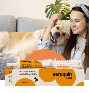 Digest | Seraquin