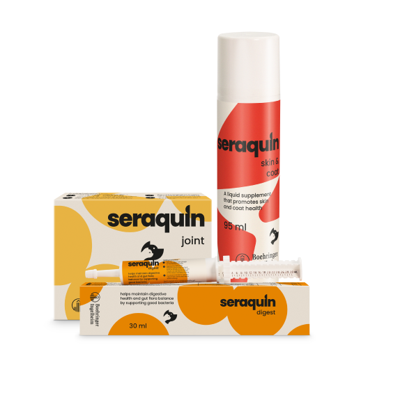 Joint | Seraquin